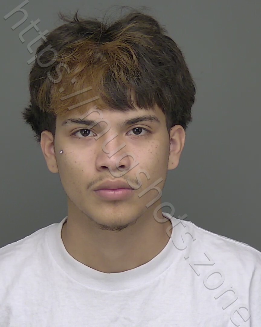 ANTON NICHOLAS ERIC 03/10/2026 - Highlands County Mugshots Zone