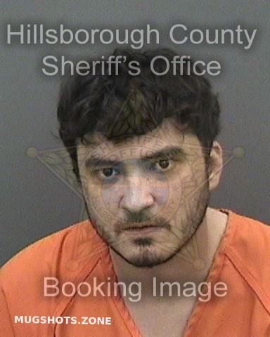 CREECH JACOB 01/03/2021 - Hillsborough County Mugshots Zone