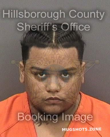 AVILES JULIO 03/17/2021 - Hillsborough County Mugshots Zone