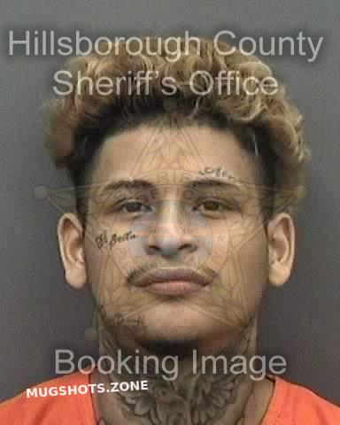 FLORES NATHANIEL 08/31/2021 - Hillsborough County Mugshots Zone