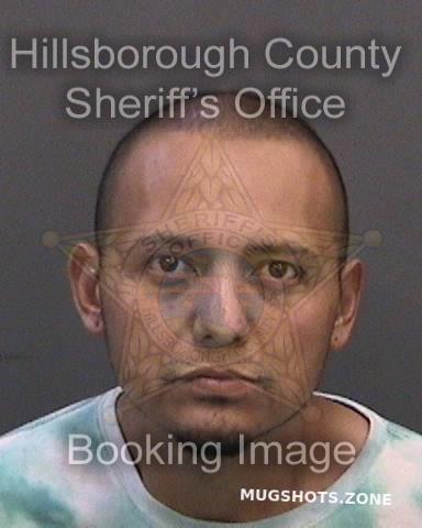 DELAROSA GUSTAVO JR 11/17/2021 - Hillsborough County Mugshots Zone