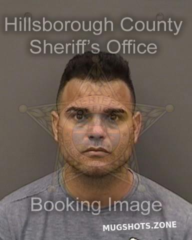 MAYO RODRIGUEZ DELVIS 02/02/2022 - Hillsborough County Mugshots Zone