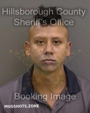SUAREZ MARTIN 03/29/2022 - Hillsborough County Mugshots Zone