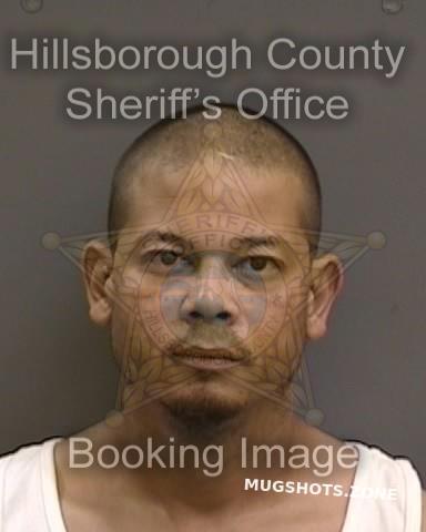 ROLDAN ELIUD JR 04/16/2022 - Hillsborough County Mugshots Zone
