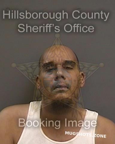 TORRES-RODRIGUEZ MELVIN 06/10/2022 - Hillsborough County Mugshots Zone
