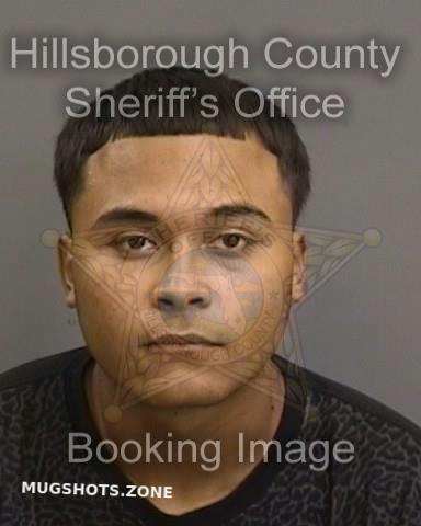 ALANIZ MATTHEW 06/30/2022 - Hillsborough County Mugshots Zone