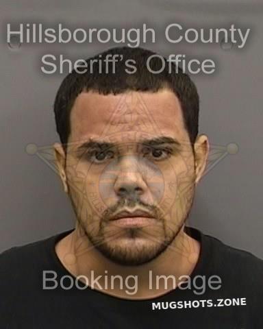 ROLDAN CRESPO DAVID 07/27/2022 - Hillsborough County Mugshots Zone