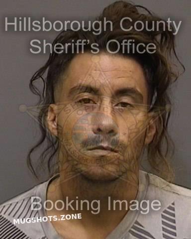 COSME WILLIAM JR 07/30/2022 - Hillsborough County Mugshots Zone