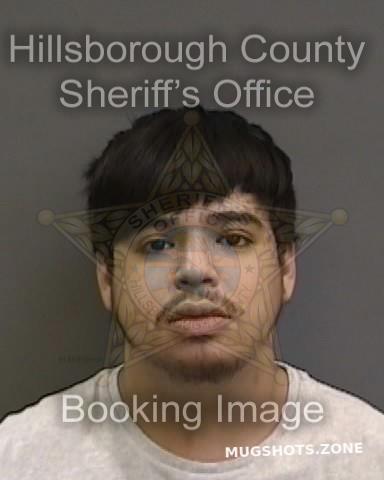 CASTRO JUSTIN 08/01/2022 - Hillsborough County Mugshots Zone