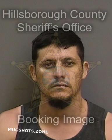 DUARTE CERNAS RICARDO 08/20/2022 - Hillsborough County Mugshots Zone
