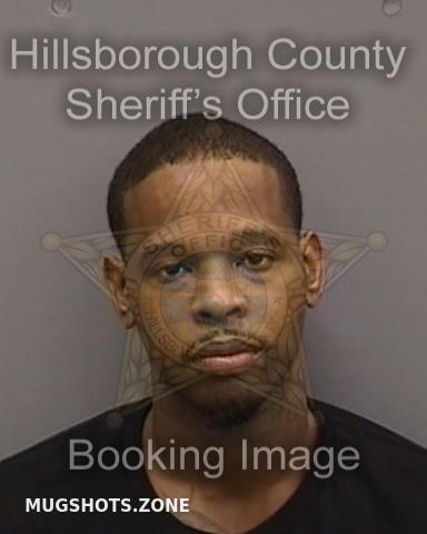 YOUNG REGINALD JR 08/31/2022 - Hillsborough County Mugshots Zone