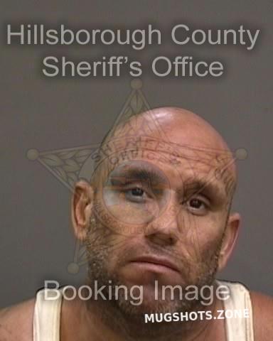 MARTY DAVID 09/03/2022 - Hillsborough County Mugshots Zone