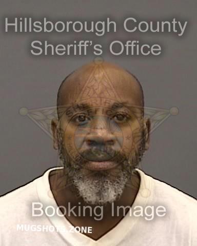 HARPER MICHAEL 10/02/2022 - Hillsborough County Mugshots Zone