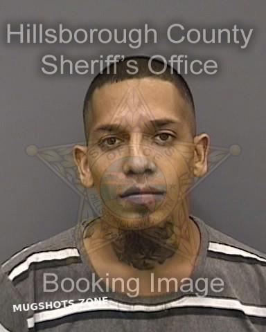 ANAVITATE HECTOR 10/06/2022 - Hillsborough County Mugshots Zone