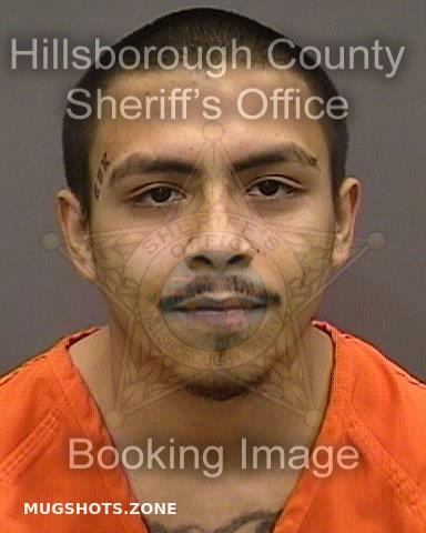 SALAZAR ALBERT JR 11/01/2022 - Hillsborough County Mugshots Zone