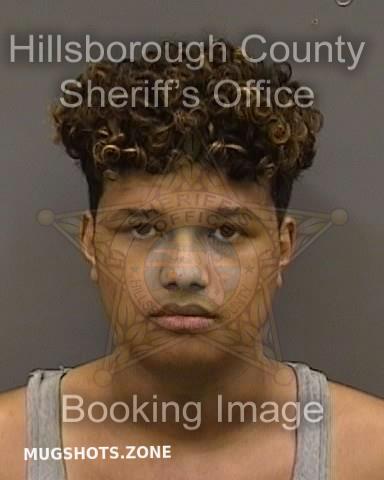 FIGUEROA ALEX 11/01/2022 - Hillsborough County Mugshots Zone