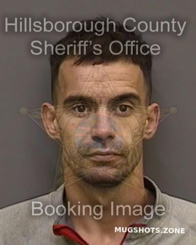 MACCARON STEVEN 11/09/2022 - Hillsborough County Mugshots Zone