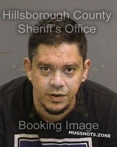RODRIGUEZ-MORA GUILLERMO 11/13/2022 - Hillsborough County Mugshots Zone