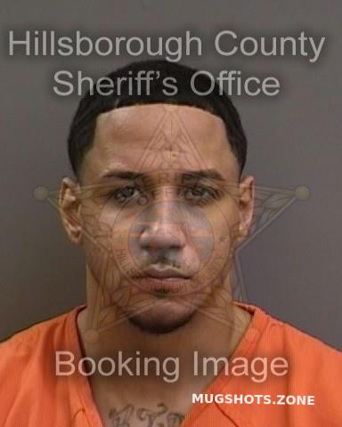 CECCHINI JUSTIN 11/13/2022 - Hillsborough County Mugshots Zone