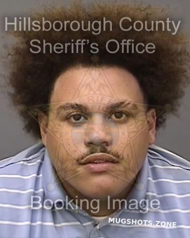 WILLIAMS JAMES IV 11/17/2022 - Hillsborough County Mugshots Zone