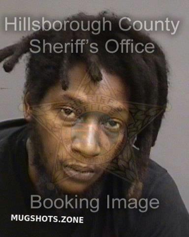 PRIDE AZURE 11/28/2022 - Hillsborough County Mugshots Zone