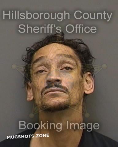 CASTRO MARIO JR 12/02/2022 - Hillsborough County Mugshots Zone