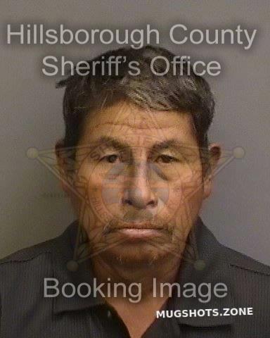 OSARIOSOLIS MARIO 12/18/2022 - Hillsborough County Mugshots Zone