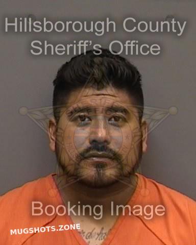 FERNANDEZ CESAR 01/08/2023 - Hillsborough County Mugshots Zone