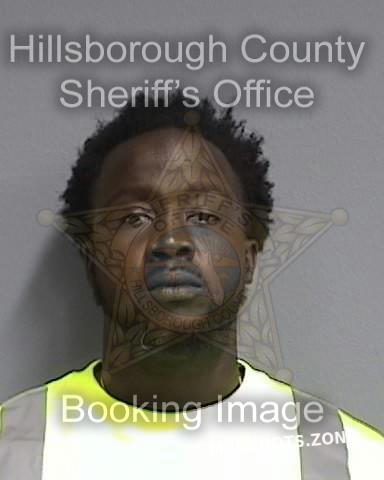 ELSTON DERRICK JR 01/27/2023 - Hillsborough County Mugshots Zone