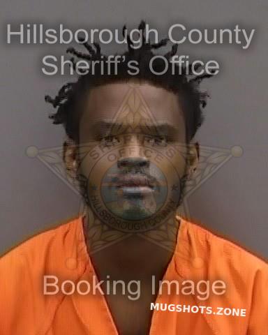 DAVIS LEWIS JR 02/12/2023 - Hillsborough County Mugshots Zone