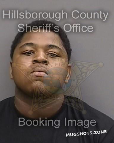 WILLIAMS MICHAEL JR 03/02/2023 - Hillsborough County Mugshots Zone