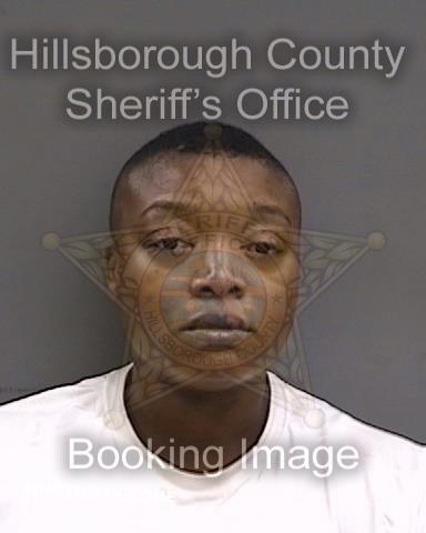 SIMMONS SHANEKA 03/13/2023 - Hillsborough County Mugshots Zone