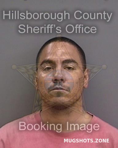 STARR NICHOLAS 04/02/2023 - Hillsborough County Mugshots Zone