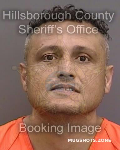 COLANGELO NICHOLAS 04/15/2023 - Hillsborough County Mugshots Zone