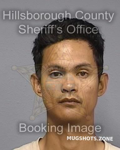 CARO HENRY JR 04/24/2023 - Hillsborough County Mugshots Zone
