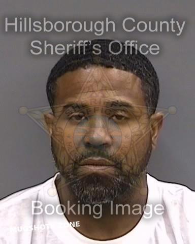 SPRING DAVID 04/24/2023 - Hillsborough County Mugshots Zone