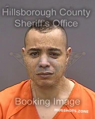 ATIF LOUTFI OTHMAN AHMED 06/05/2023 - Hillsborough County Mugshots Zone