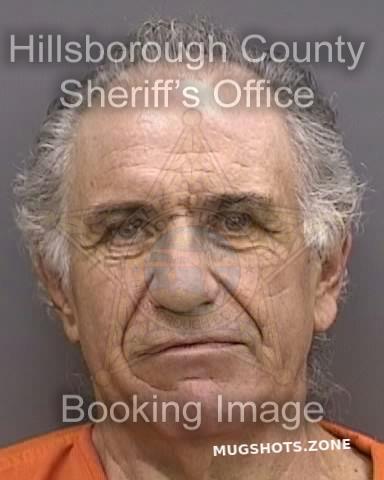 FEOLA LOUIS 08/04/2023 - Hillsborough County Mugshots Zone