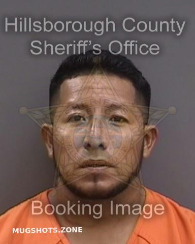 MATIAS DOMINGO MARIO 08/07/2023 - Hillsborough County Mugshots Zone