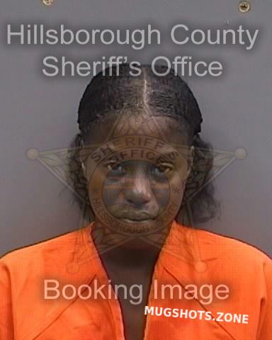 ANDREWS KIA 08/13/2023 - Hillsborough County Mugshots Zone