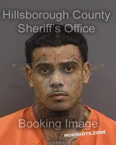 BALCON SAMUEL 08/14/2023 - Hillsborough County Mugshots Zone