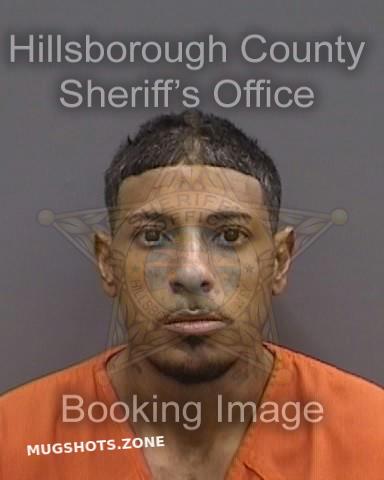 HARRISON STEVEN 08/22/2023 - Hillsborough County Mugshots Zone