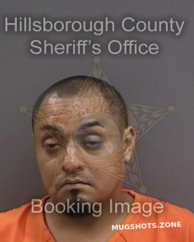 RAMIREZ EDWIN 08/24/2023 - Hillsborough County Mugshots Zone