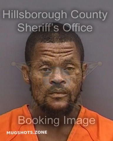 LATTA CHATZ 08/25/2023 - Hillsborough County Mugshots Zone