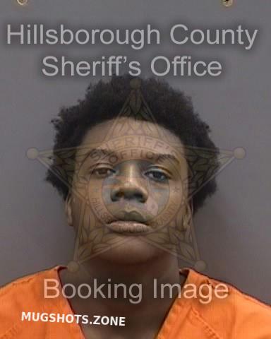 DAVIS MICHAEL 09/24/2023 - Hillsborough County Mugshots Zone