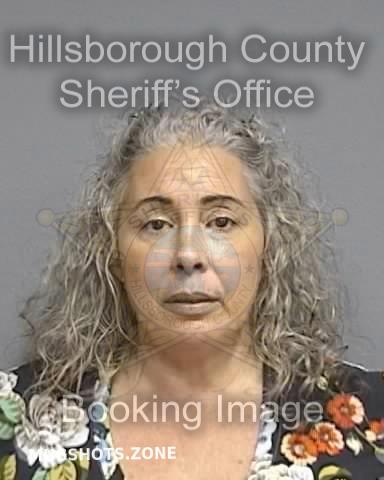 JACK TARA 10/12/2023 - Hillsborough County Mugshots Zone