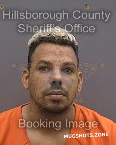 TAMAYO DEL RIO DANNIER 10/22/2023 - Hillsborough County Mugshots Zone