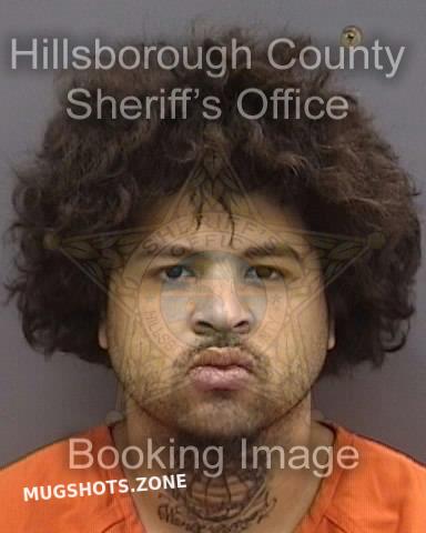 SMITH AHMAAD 10/30/2023 - Hillsborough County Mugshots Zone