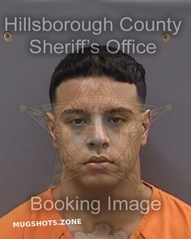 BOWERMAN RYAN JR 11/23/2023 - Hillsborough County Mugshots Zone