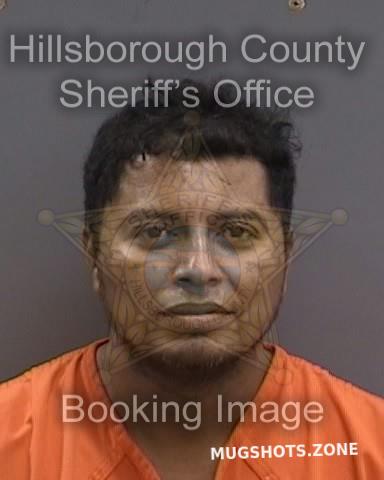 CARCAMO GARCIA EVER 12/17/2023 - Hillsborough County Mugshots Zone